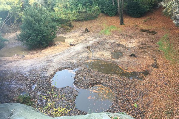 Tunbridge Wells & Rusthall Commons