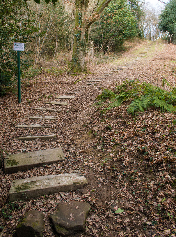 Tunbridge Wells & Rusthall Commons