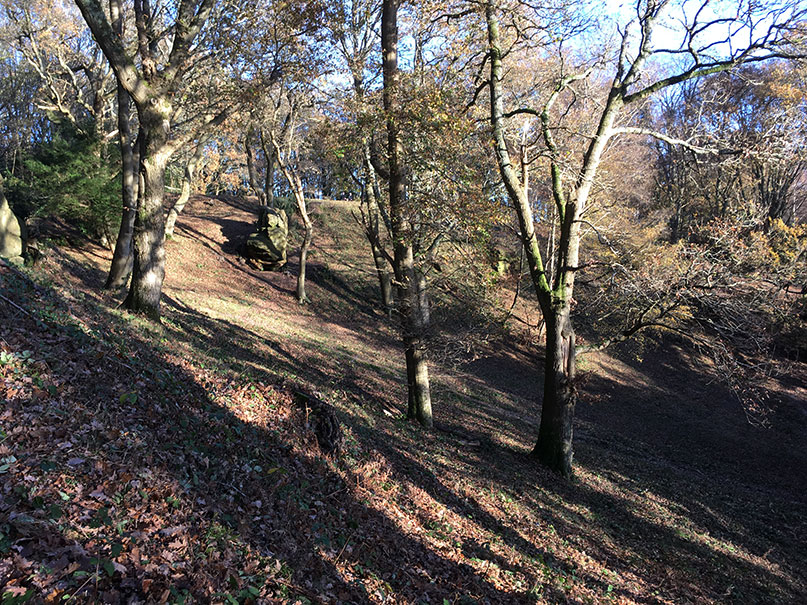 Tunbridge Wells & Rusthall Commons