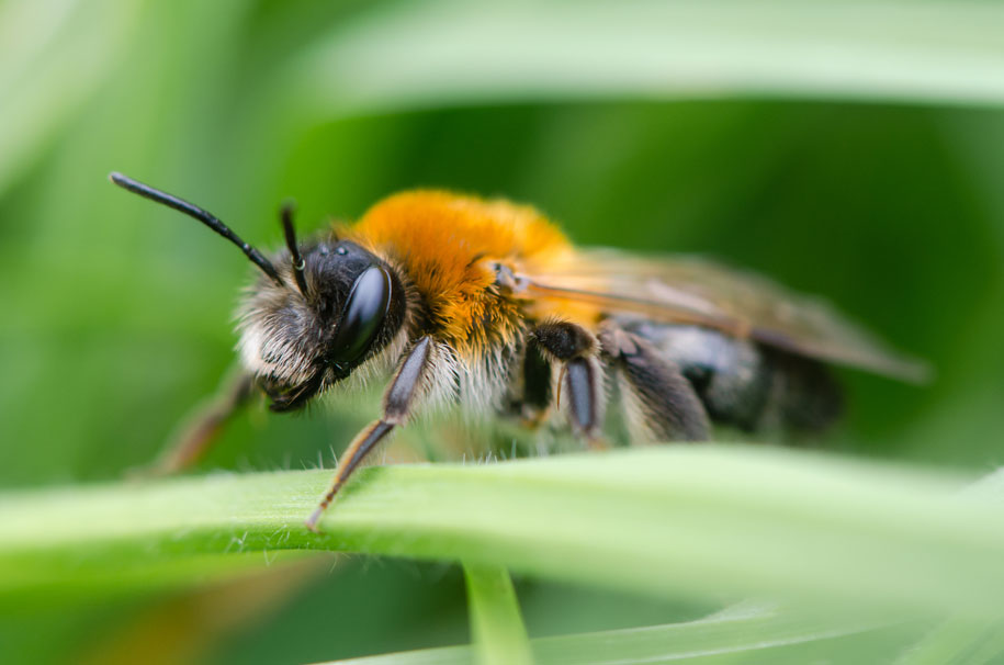 Tunbridge Wells & Rusthall Commons