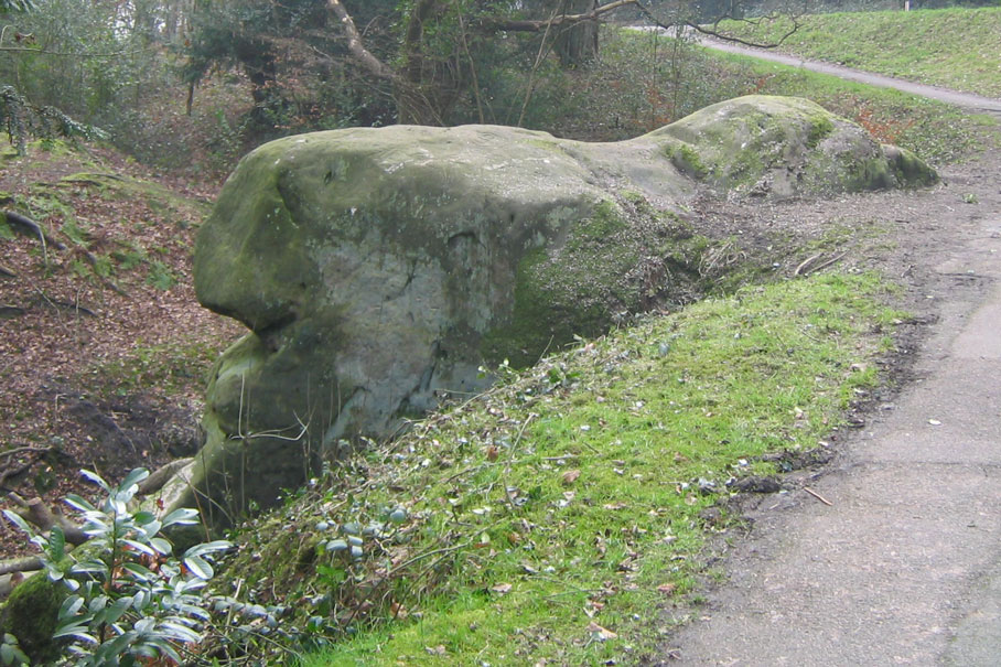 Tunbridge Wells & Rusthall Commons