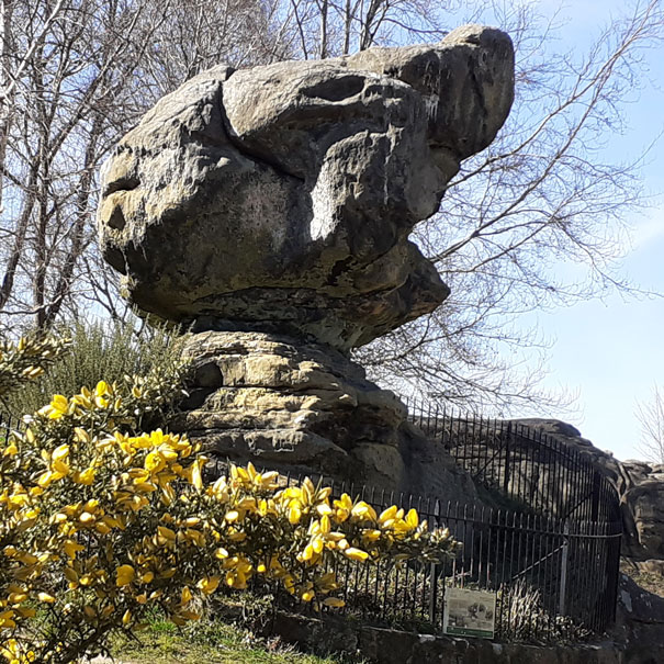 Tunbridge Wells & Rusthall Commons