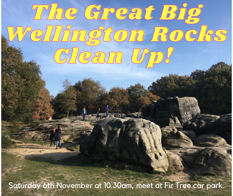 Tunbridge Wells & Rusthall Commons