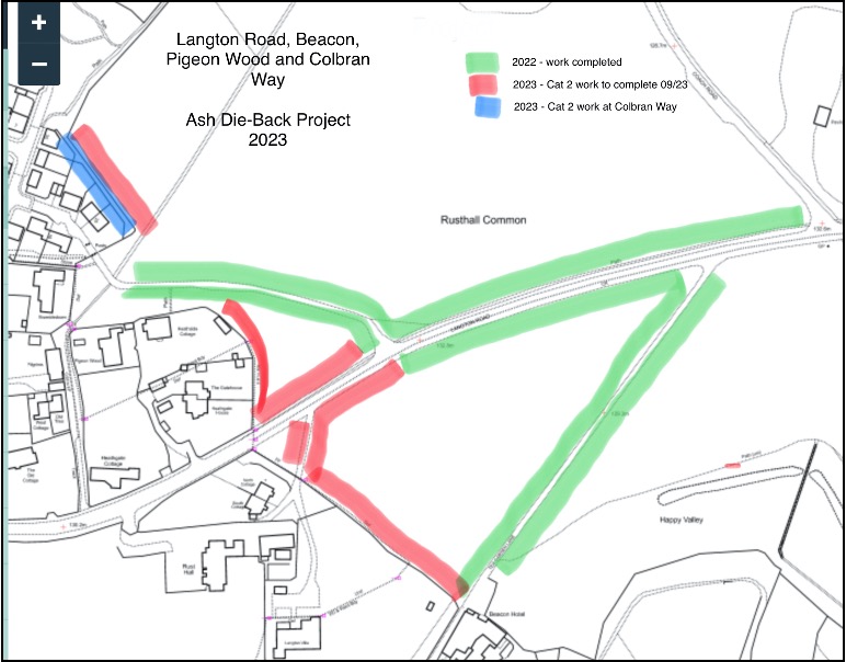 Tunbridge Wells & Rusthall Commons