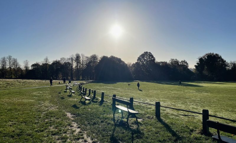 Tunbridge Wells & Rusthall Commons